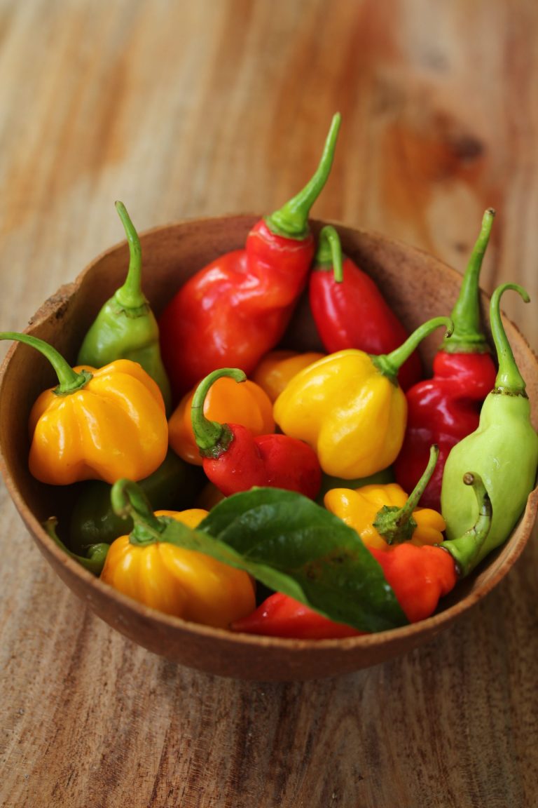 On vous dit tout sur le piment, pilier de la culture culinaire antillaise