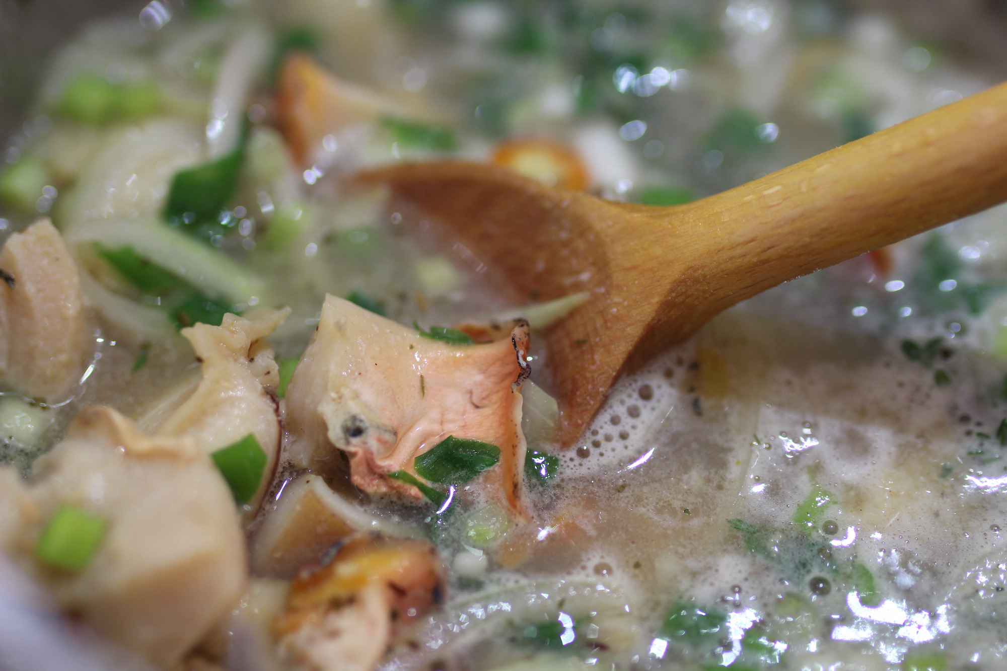 dombrés au lambi martinique