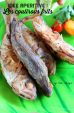 9 POISSONS INCONTOURNABLES des tables antillaises