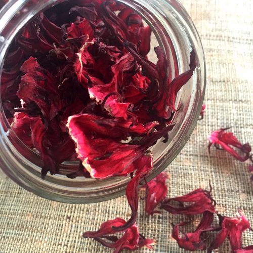 Tout savoir sur la groseille-pays, star de nos fêtes de fin d'année