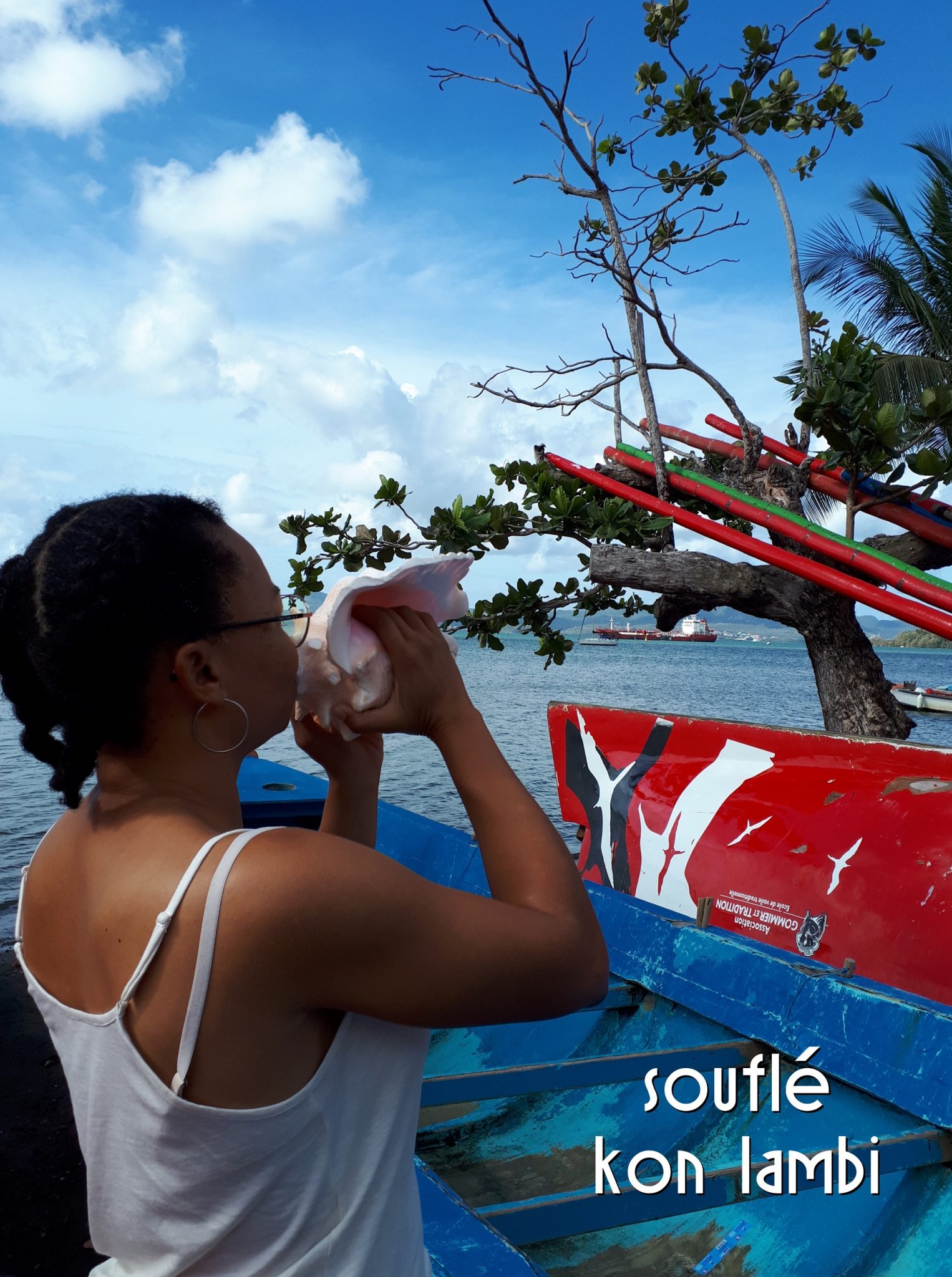 Le lambi, mollusque star des Antilles